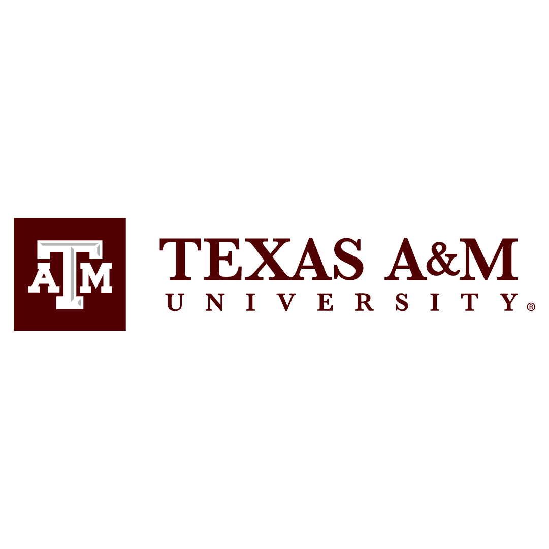 Software de simulación de gemelos digitales | Simio